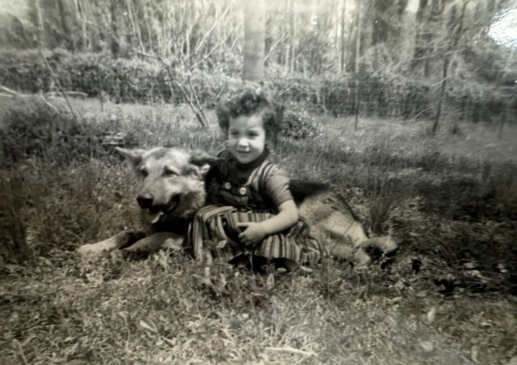 About Anne - Anne Maxwell LCSW